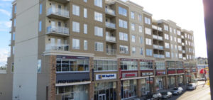 Visit Marda Loop | Introducing the Marda Loop BIA